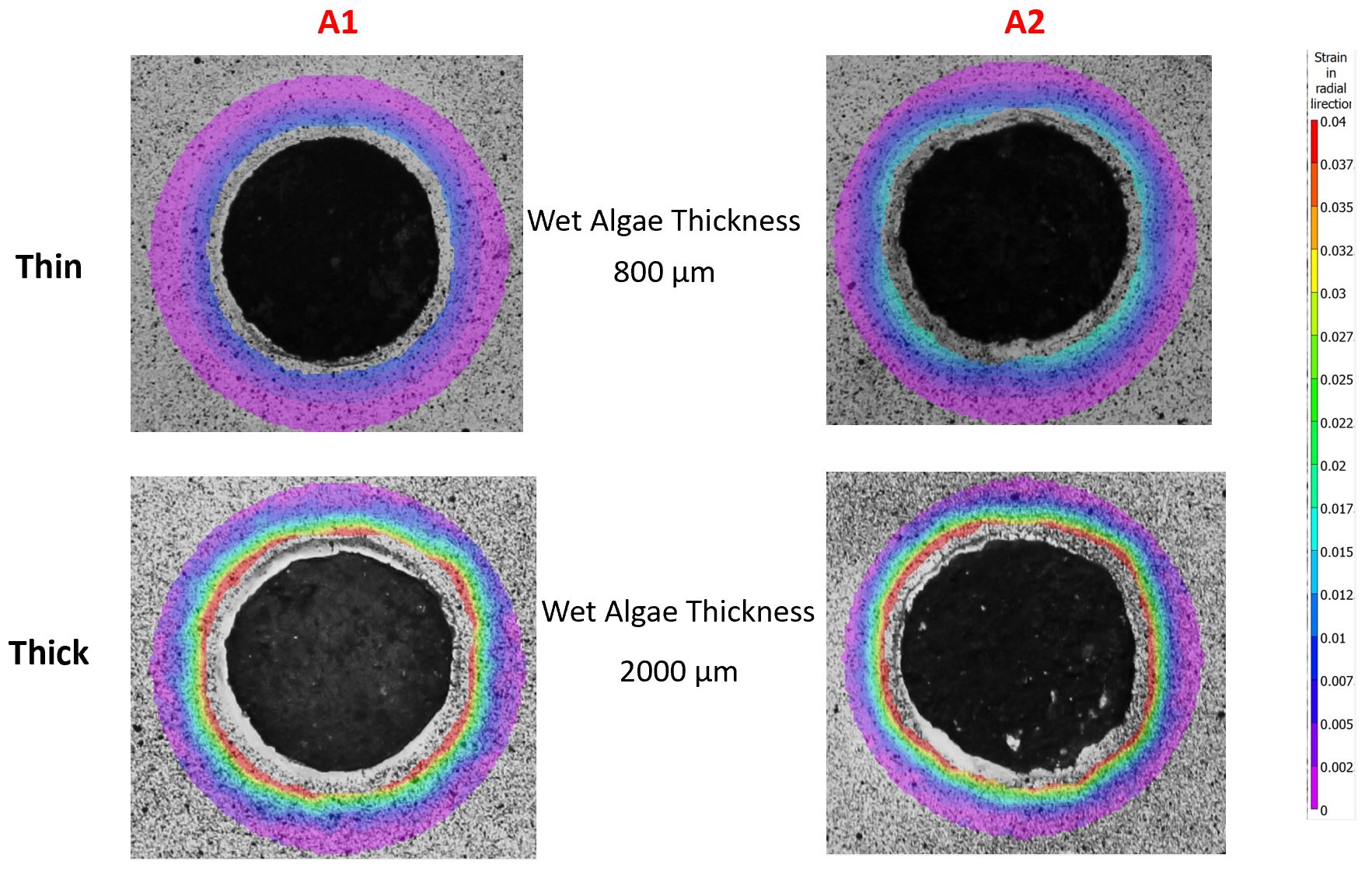 Sumit Khatri | Click on the headers on the right to learn more about ...